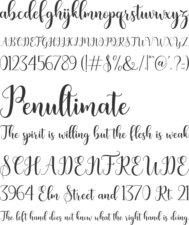 Tequila Font Ttf Svg Files Cursive Font Wedding Font Tequila Font Ttf Svg Files Cursive Font Wedding Font